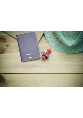 21+ SAMPLE Visa Application Forms in PDF | MS Word