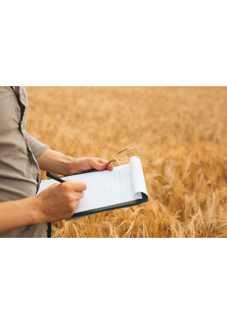 24+ SAMPLE Weather Report in PDF | MS Word