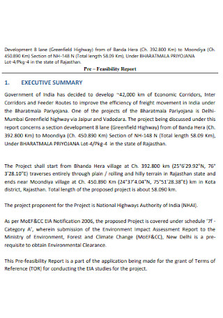 12+ FREE Pre-Feasibility Report Samples to Download