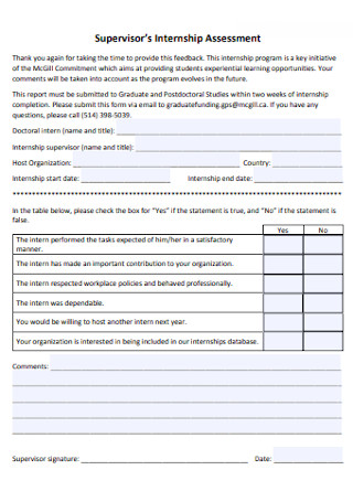 26+ FREE Internship Assessment Samples to Download