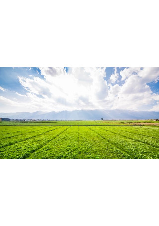 10+ SAMPLE Agricultural Project Proposal in PDF