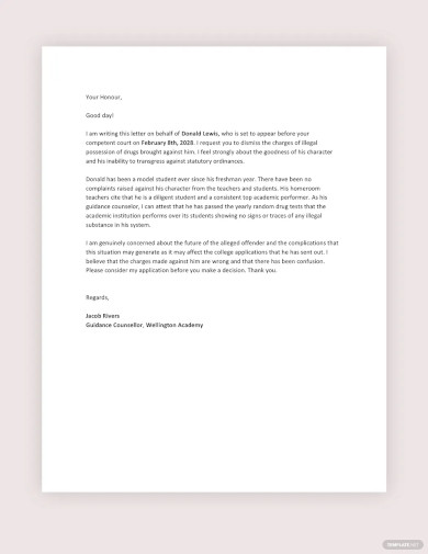 20 SAMPLE Character Reference for Court In PDF MS Word